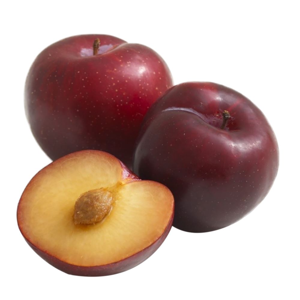 PLUMS ANGELINO ORGANIC 1KG – Simply Organic NZ
